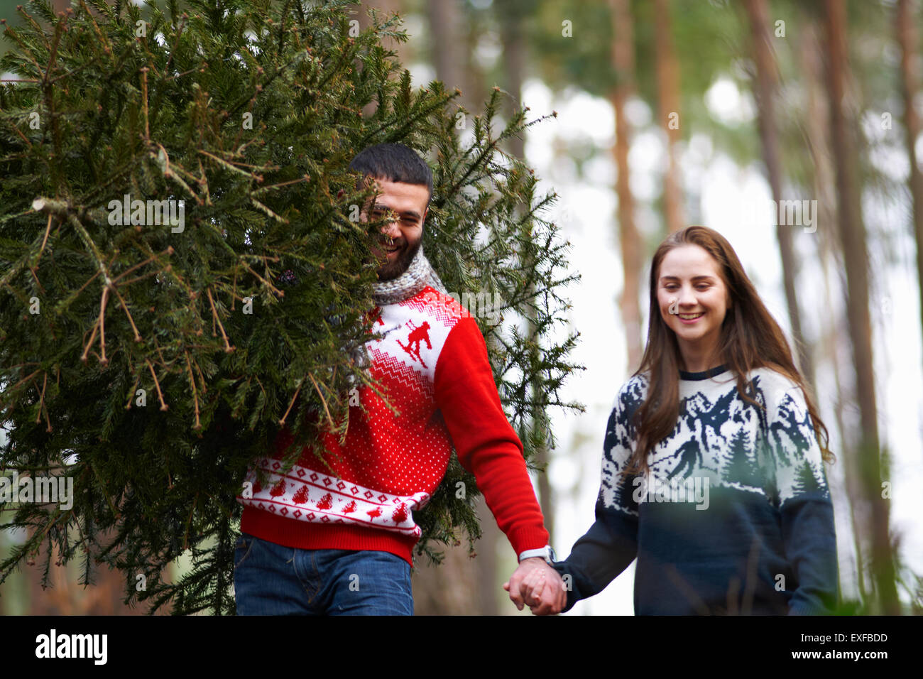 Young couple carrying Christmas tree on shoulders in woods Stock Photo ...
