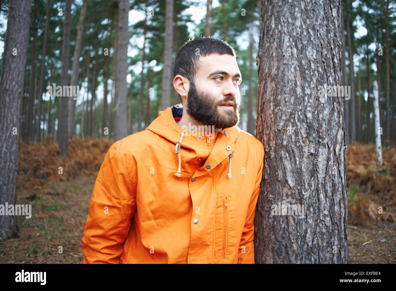 Man tree hi-res stock photography and images - Alamy