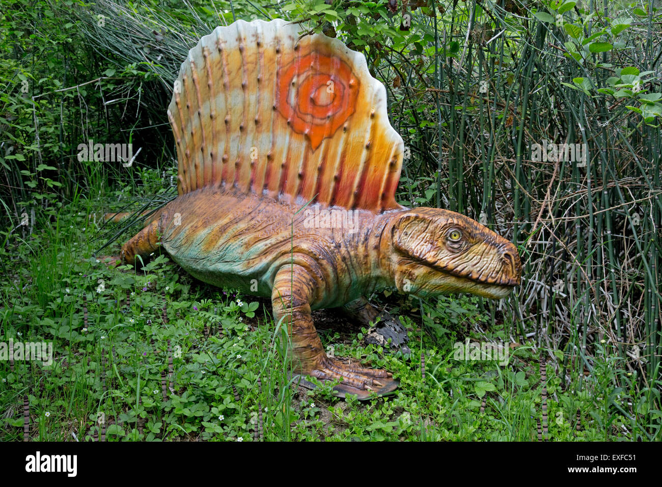 Edaphosaurus extinct edaphosaurid synapsid reptile from late ...