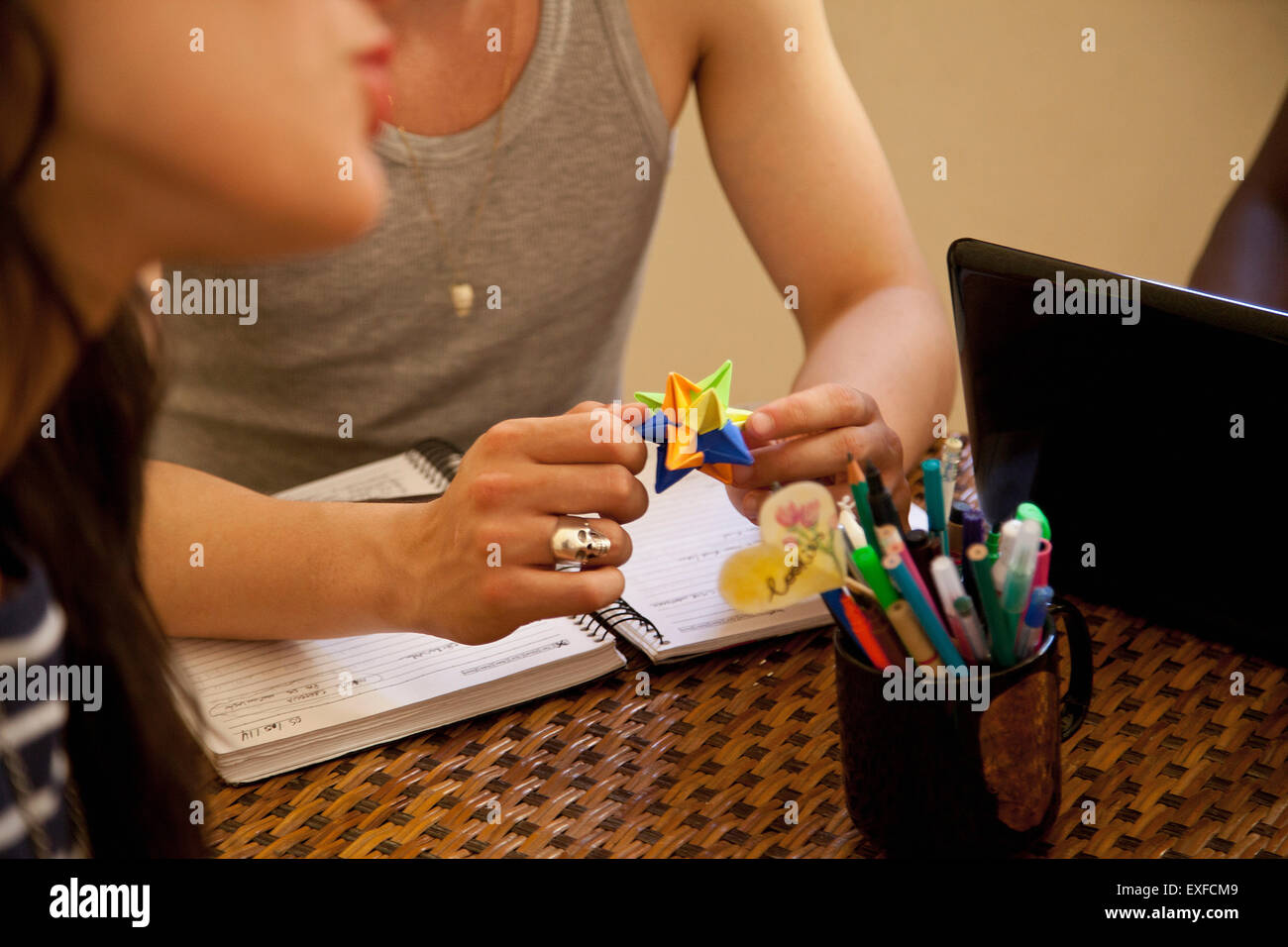 Female students using laptop studying hi-res stock photography and ...