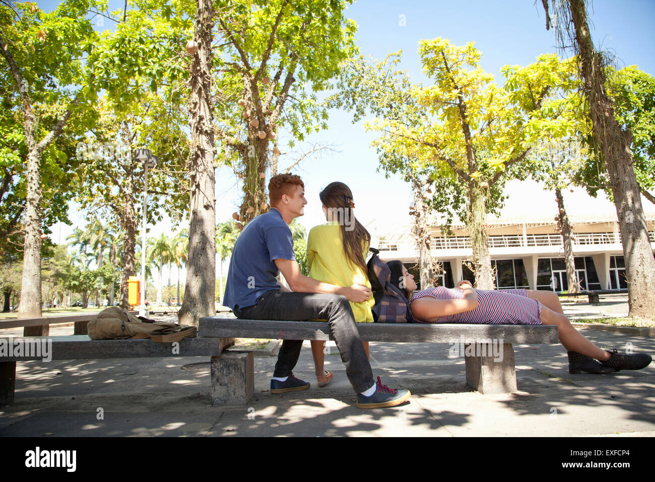 Students sitting under tree, Rio de Janeiro, Brazil Stock Photo - Alamy