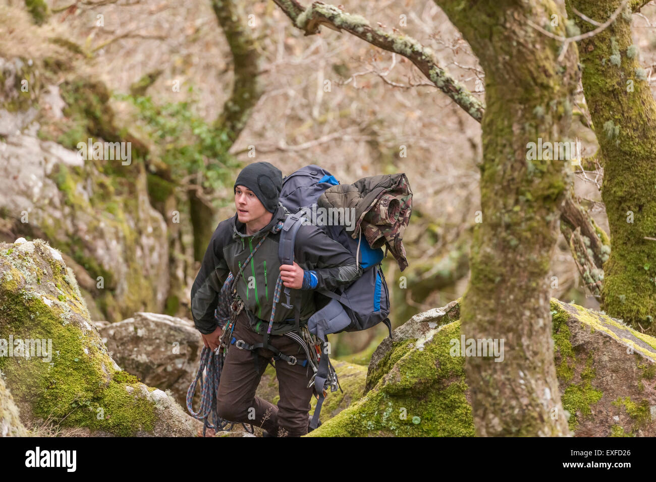 Young man hiking through hi-res stock photography and images - Alamy