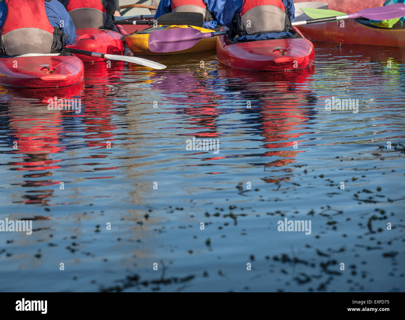 Group of people in kayaks, rear view Stock Photo - Alamy
