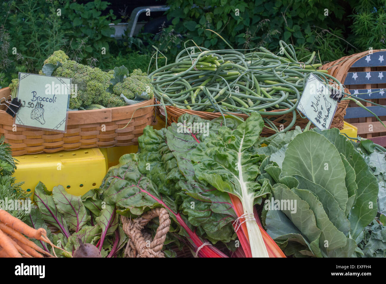 Farmer's Markets Around The World Stock Photo - Alamy