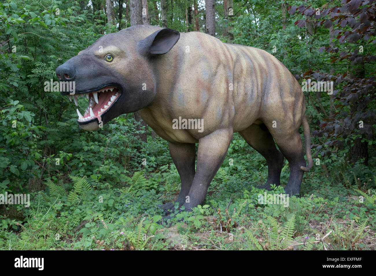 Hyena toothed hi-res stock photography and images - Alamy