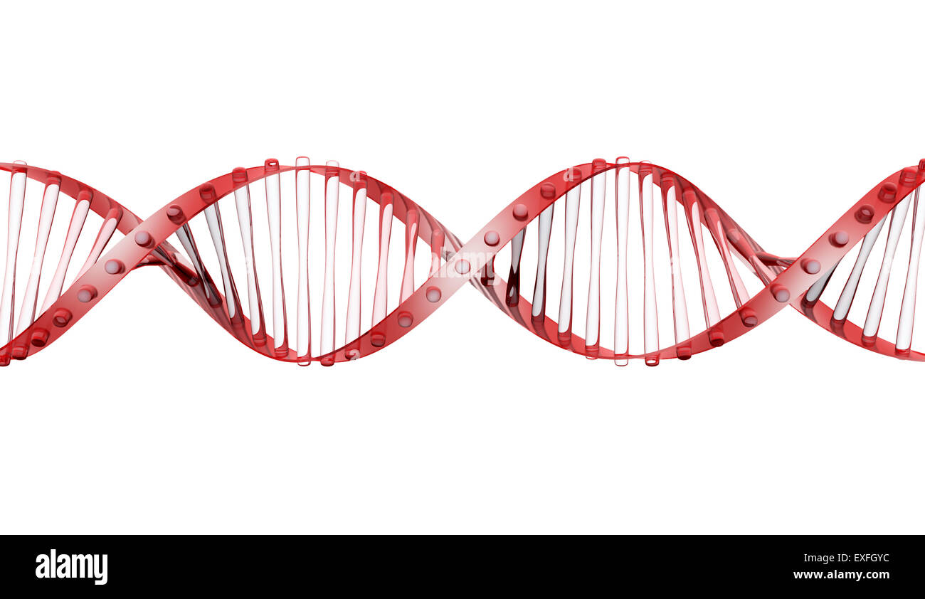 Glass DNA strand on white background Stock Photo - Alamy