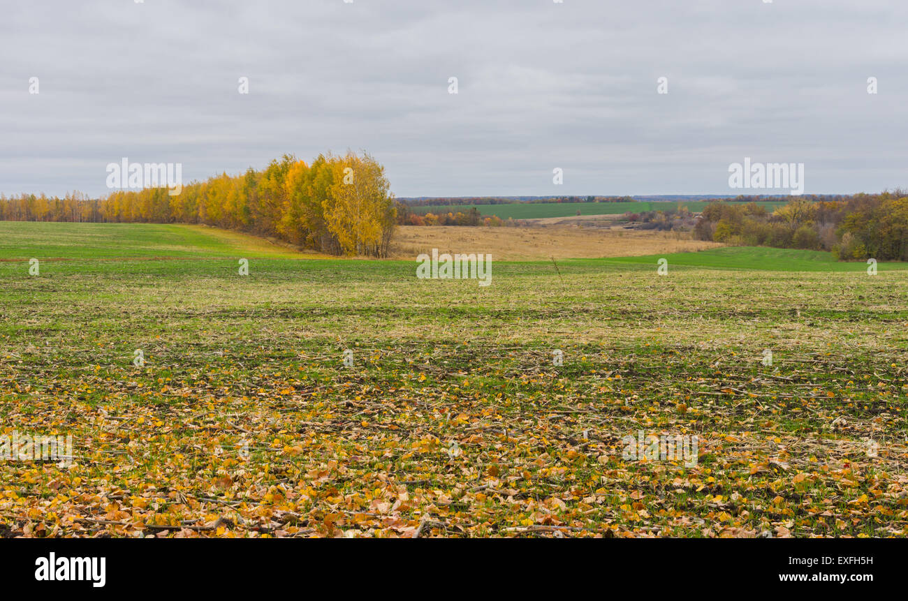 Autumnal landscape in Ukrainian fields Stock Photo - Alamy