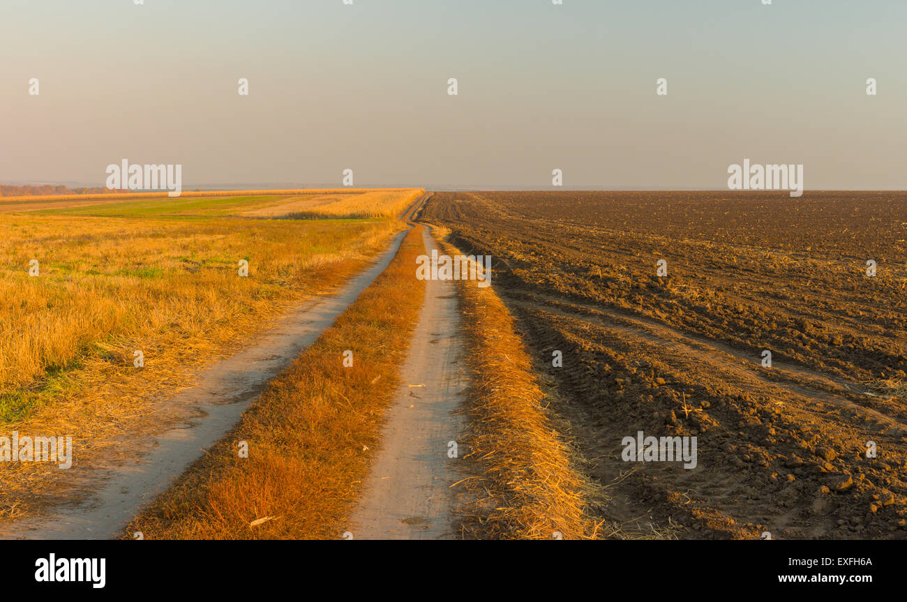 Evening landscape with agricultural fields in Ukraine at fall season ...