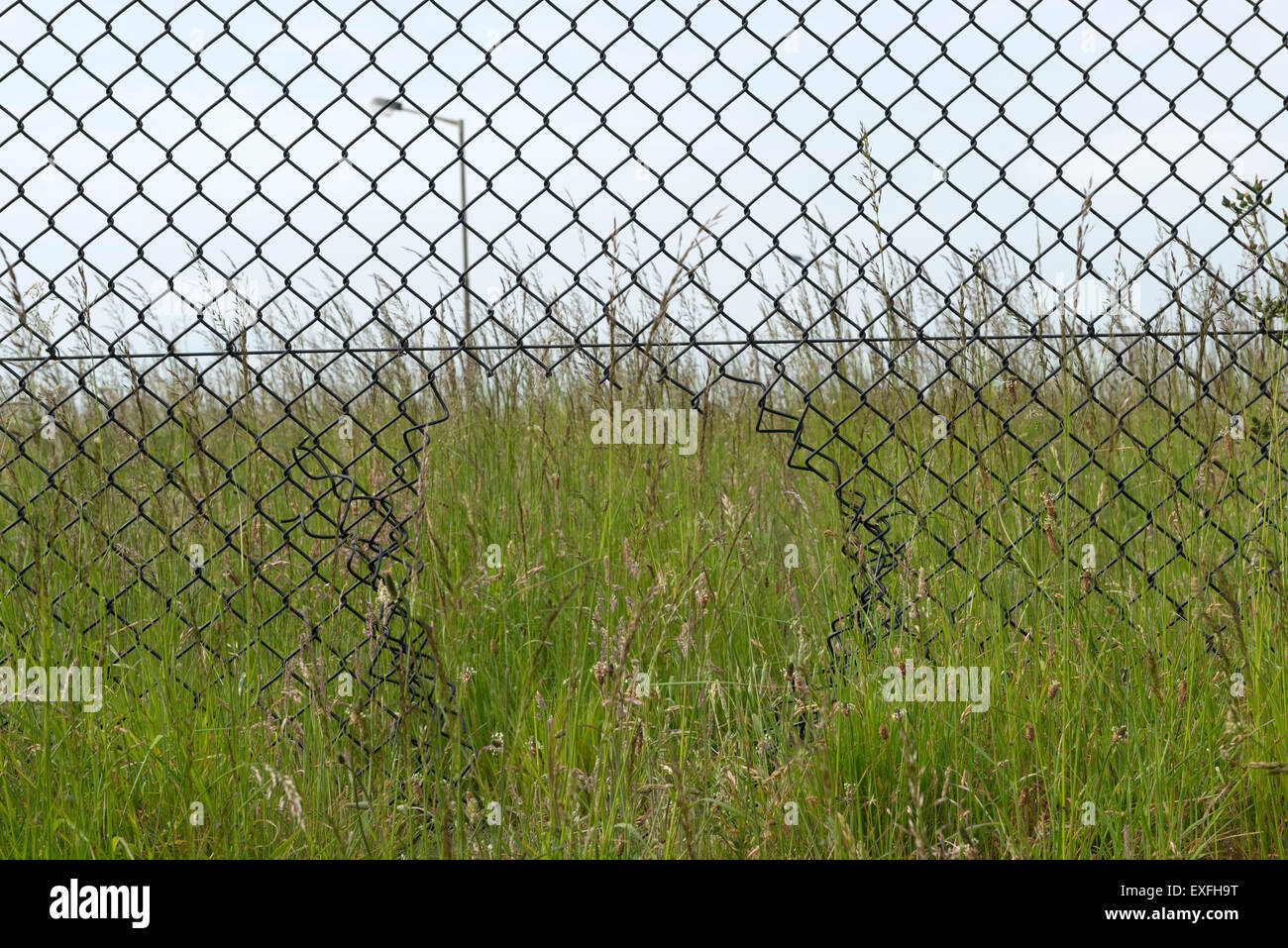 Holes in fence hi-res stock photography and images - Alamy