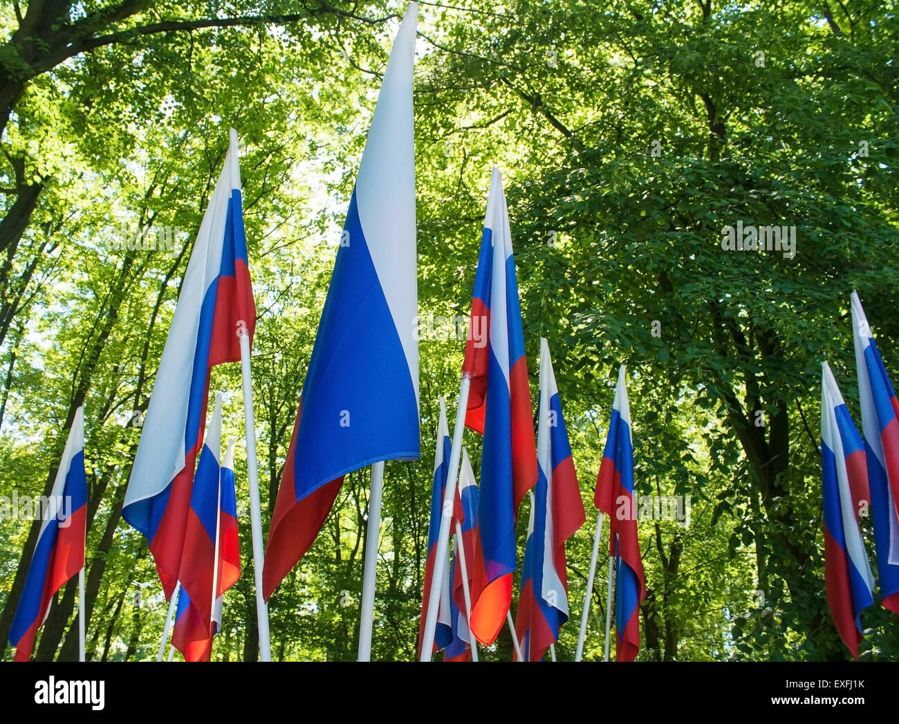 Many russian flags hi-res stock photography and images - Alamy