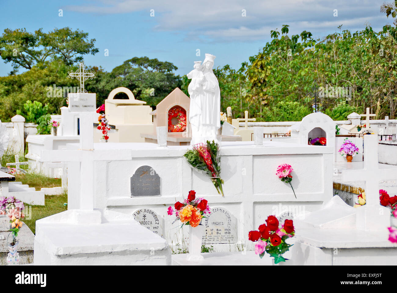 A Beautiful graveyard with white tombs and colourful flowers, in Playa ...
