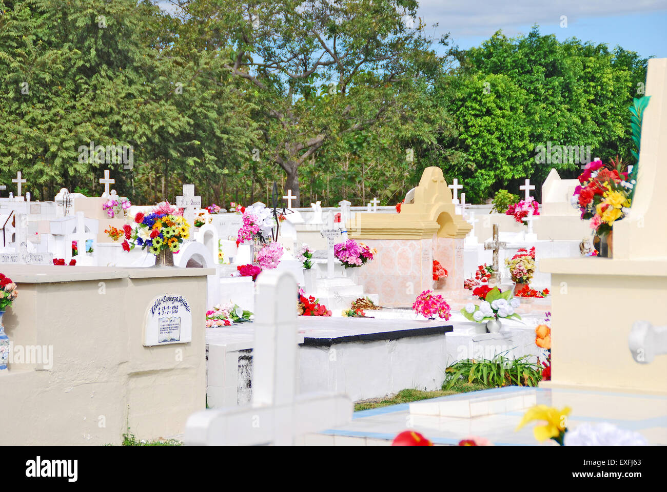 A Beautiful graveyard with white tombs and colourful flowers, in Playa ...