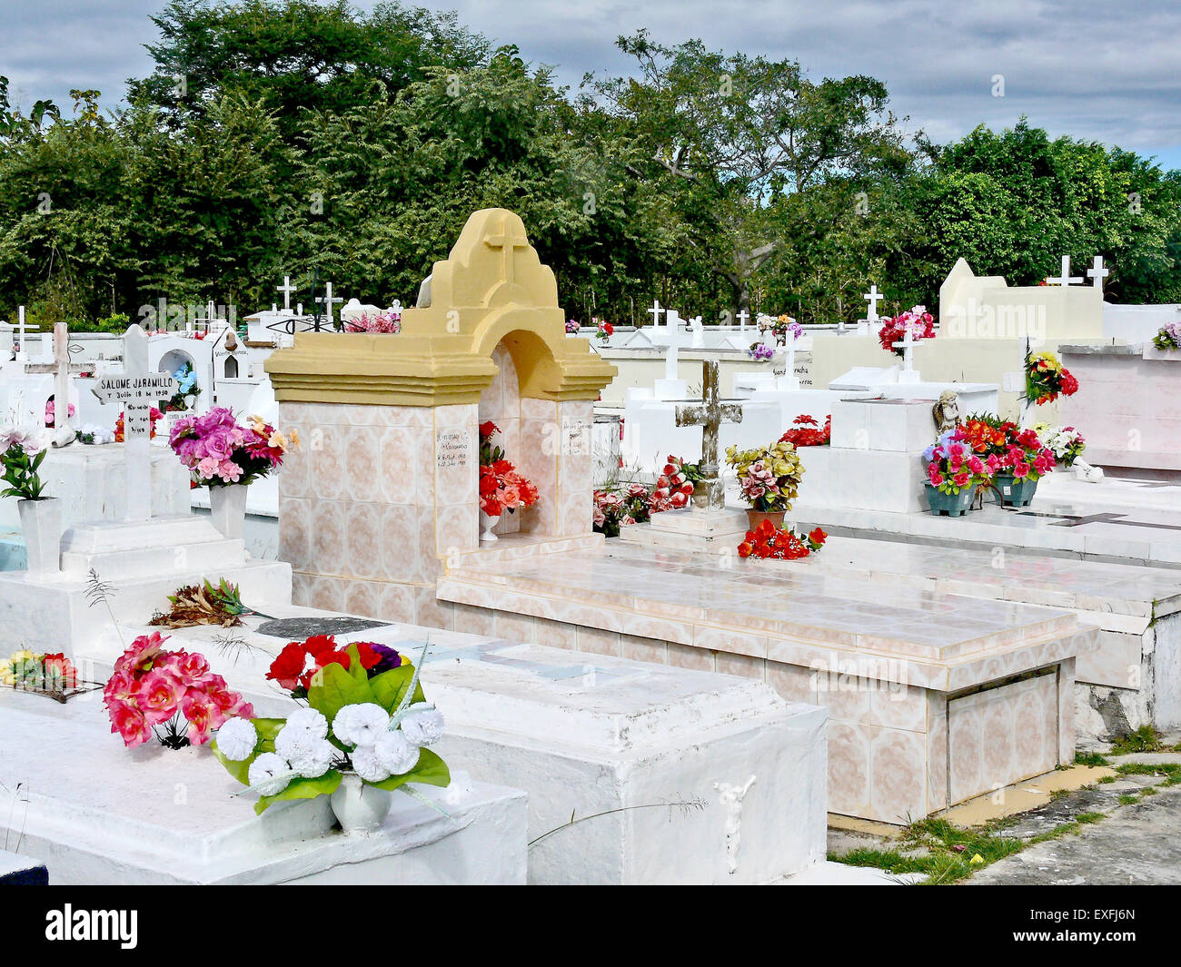 A Beautiful graveyard with white tombs and colourful flowers, in Playa ...