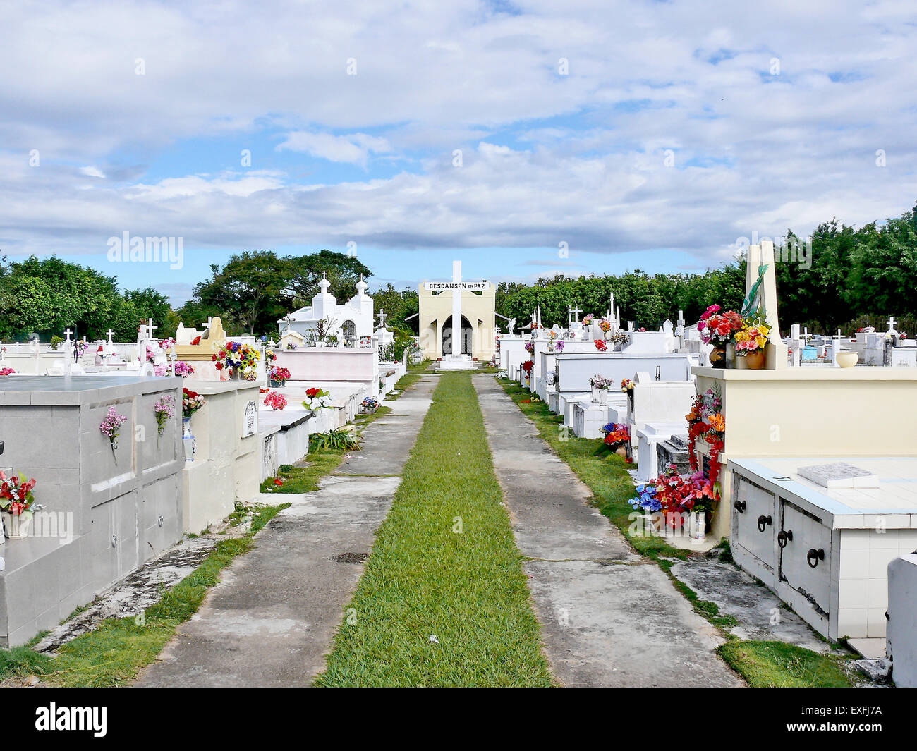 A Beautiful graveyard with white tombs and colourful flowers, in Playa ...
