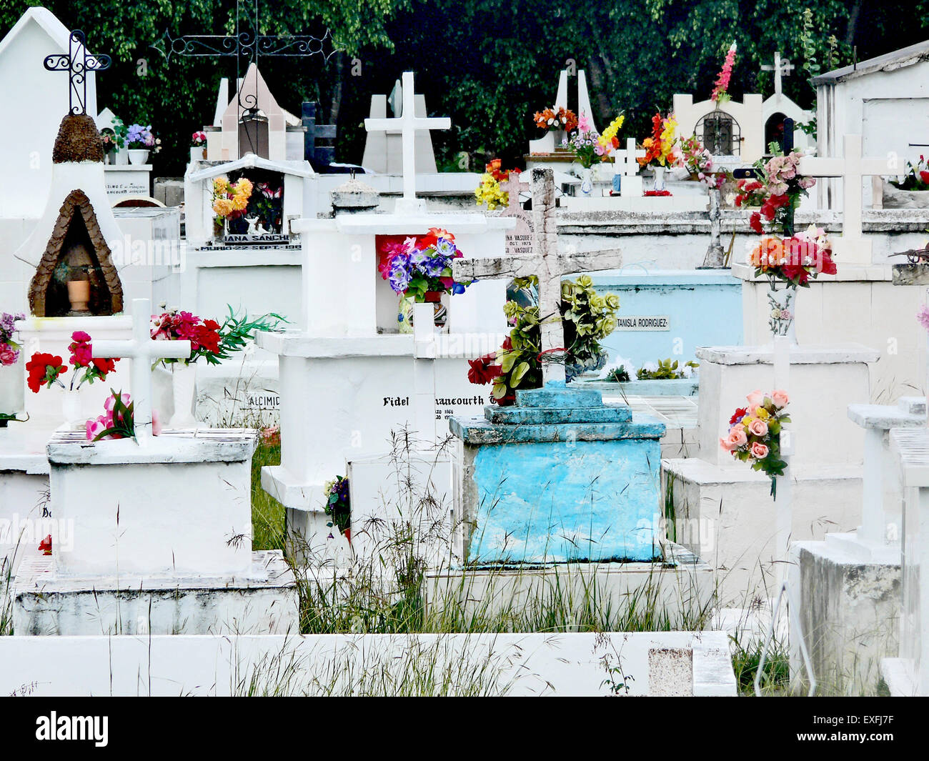 A Beautiful graveyard with white tombs and colourful flowers, in Playa ...