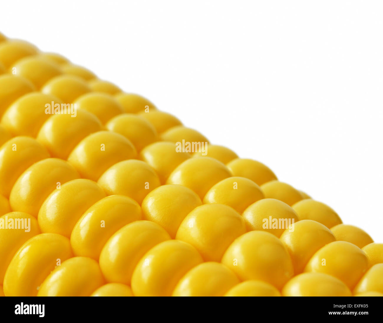 Close sweetcorn cob on white background Stock Photo - Alamy