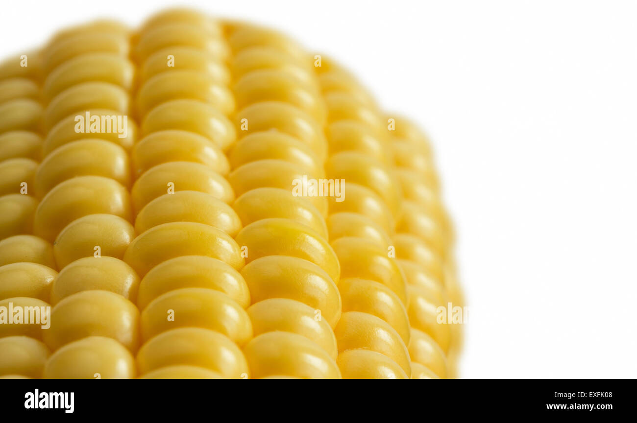 Close sweetcorn cob on white background with shallow focus Stock Photo ...