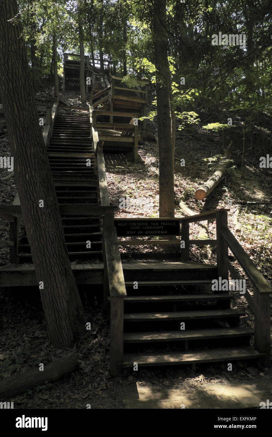 Hoffmaster state park hi-res stock photography and images - Alamy