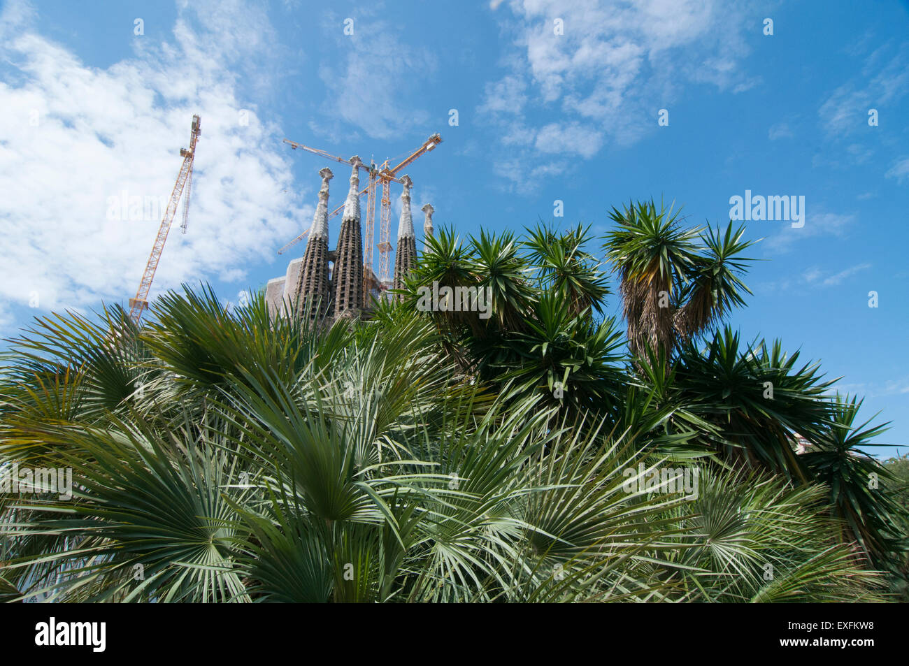 Looking across Placa de Gaudi gardens towards La Sagrada Familia Stock ...