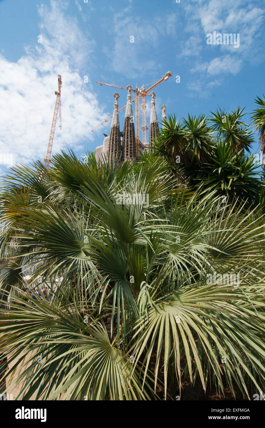 Looking across Placa de Gaudi gardens towards La Sagrada Familia Stock ...