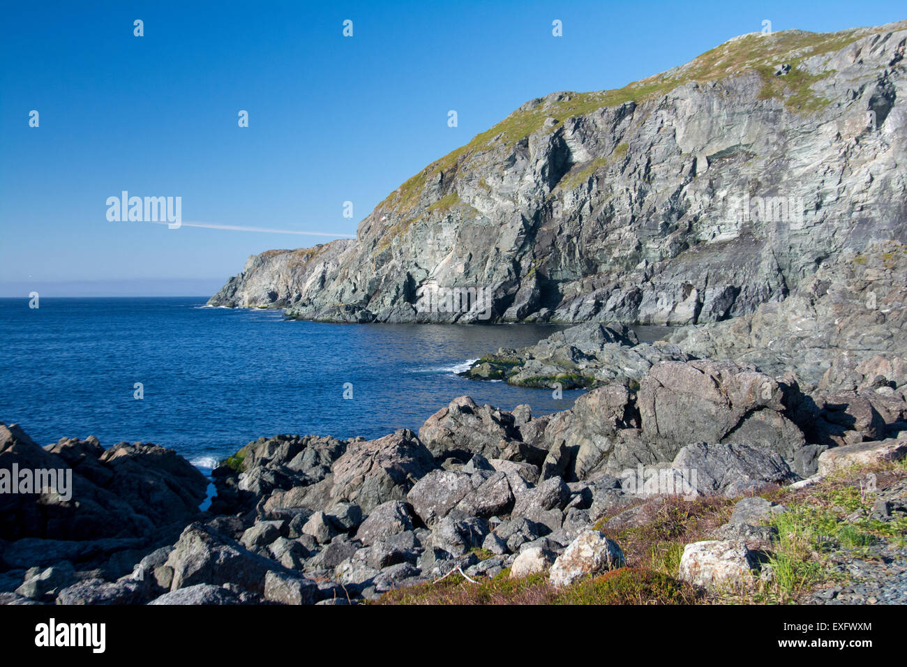 Sea cliffs near St. Anthony, Newfoundland Stock Photo - Alamy