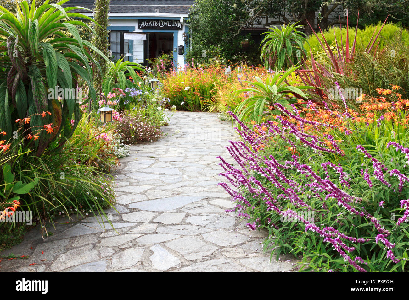 Pathway path bed hi-res stock photography and images - Alamy