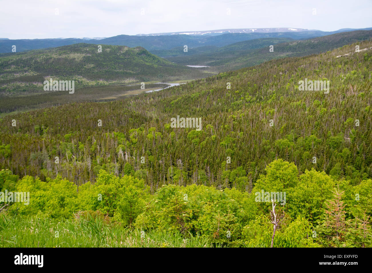 Newfoundland interior hi-res stock photography and images - Alamy