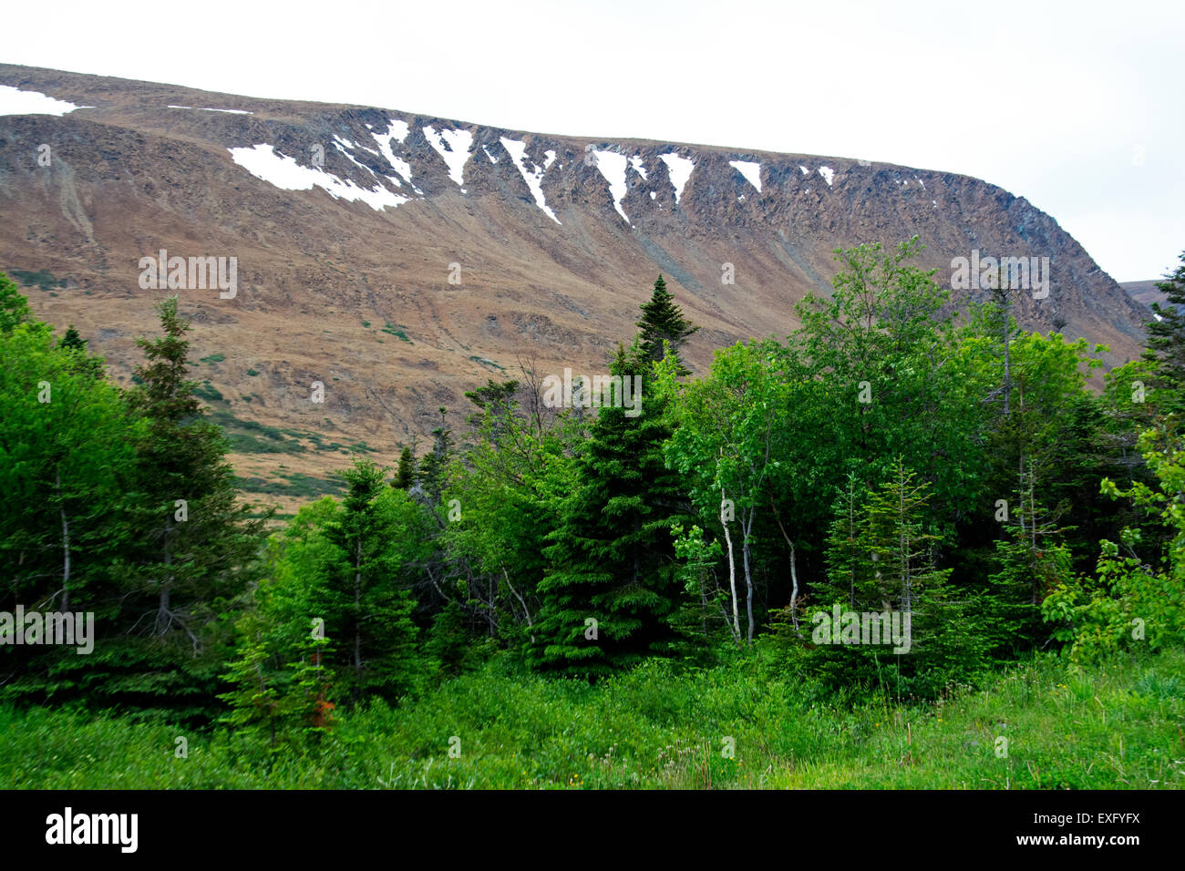 Newfoundland tablelands hi-res stock photography and images - Alamy