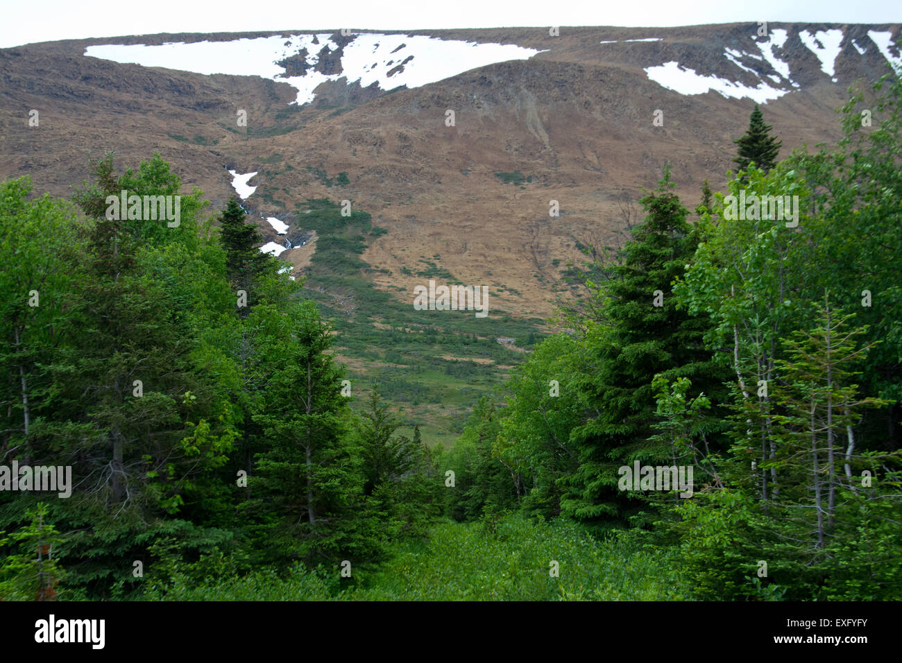 Canada gros morne tablelands hi-res stock photography and images - Alamy
