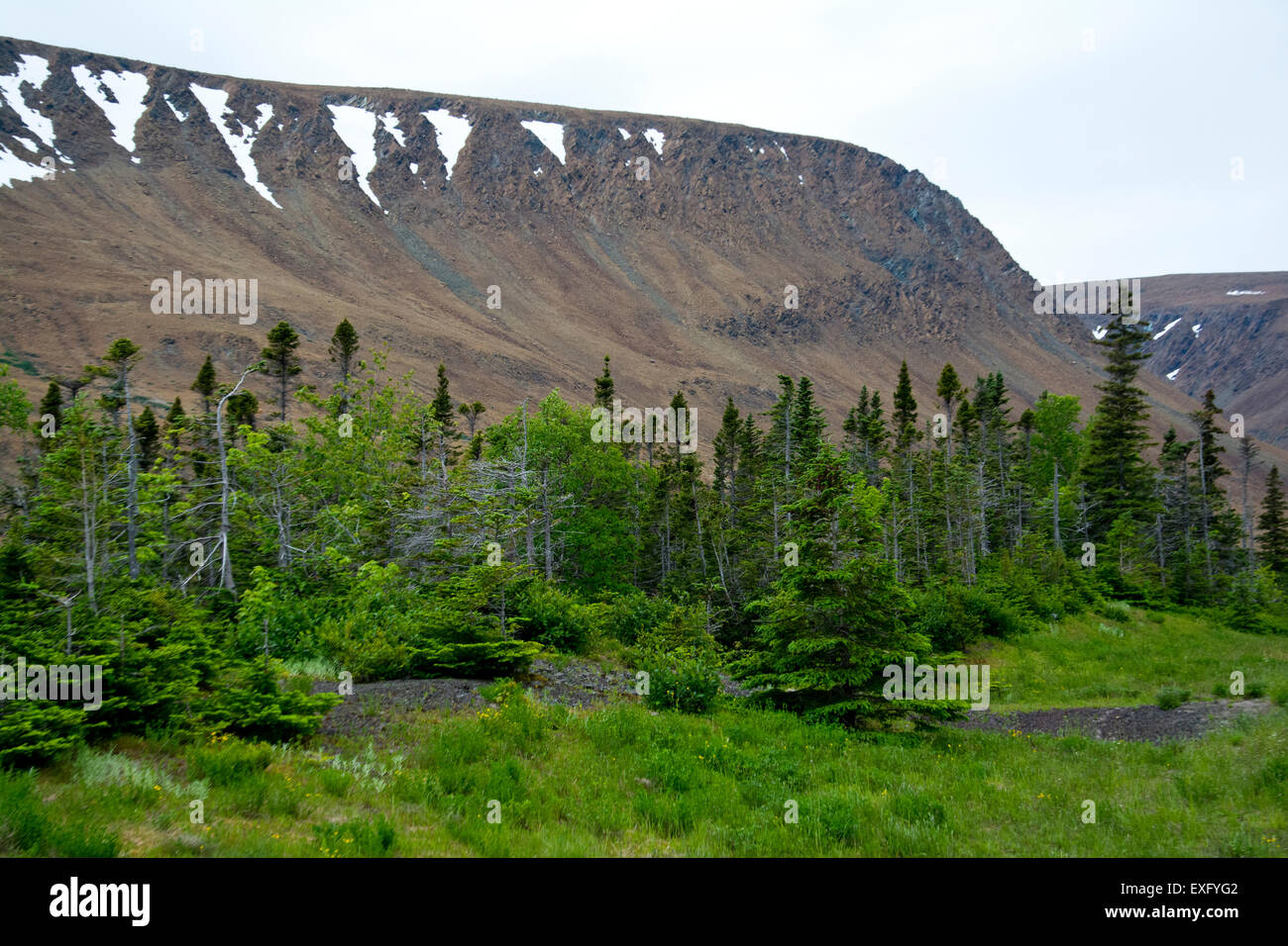 A view of the Tablelands Stock Photo - Alamy