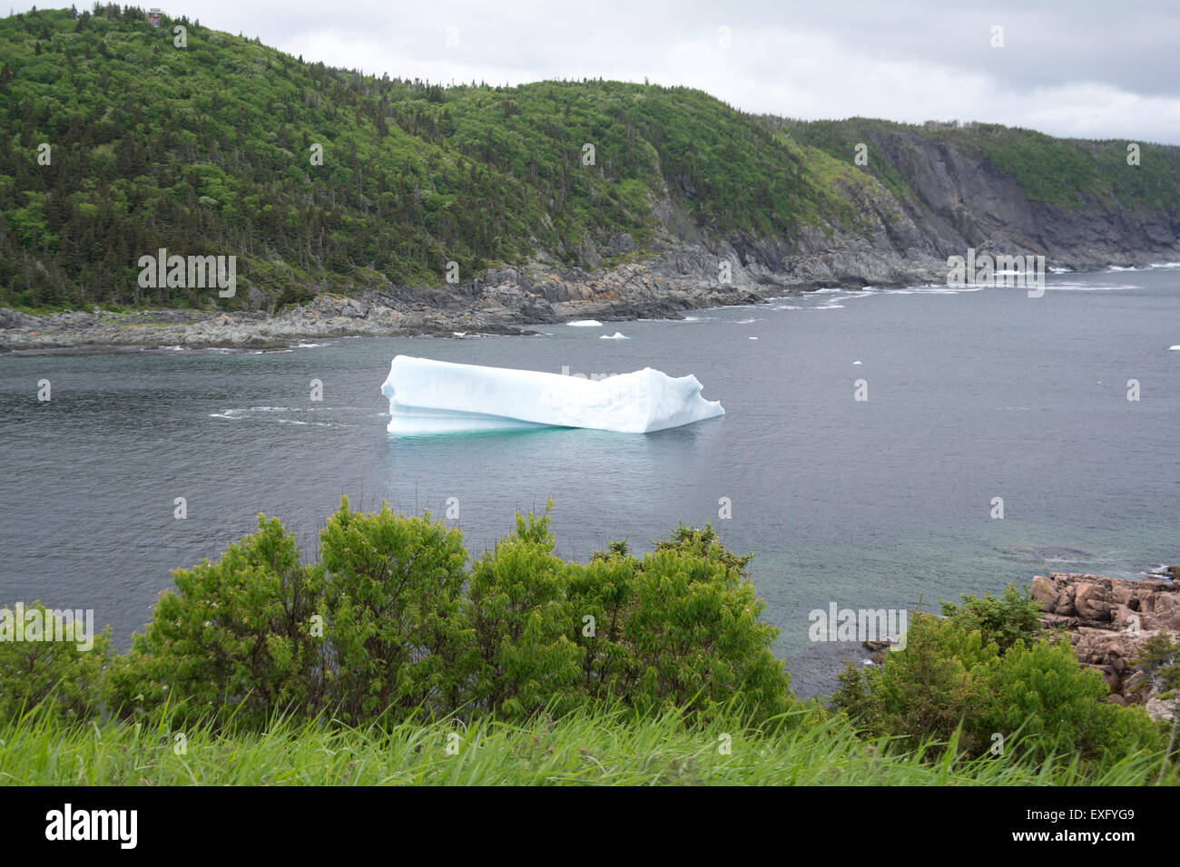 An iceberg off the Newfoundland shore Stock Photo - Alamy