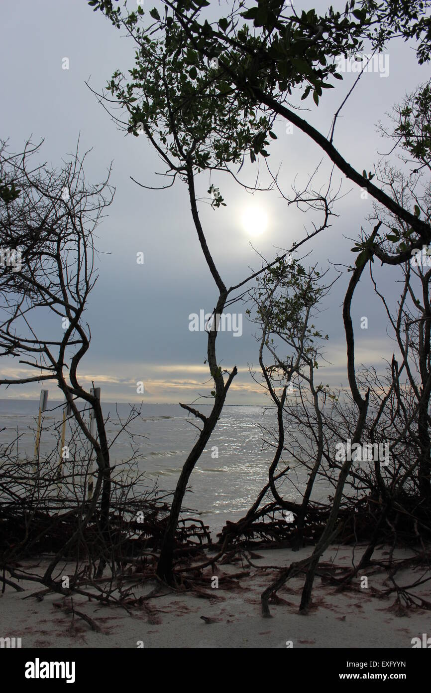 Panama city beach sunset hi-res stock photography and images - Alamy