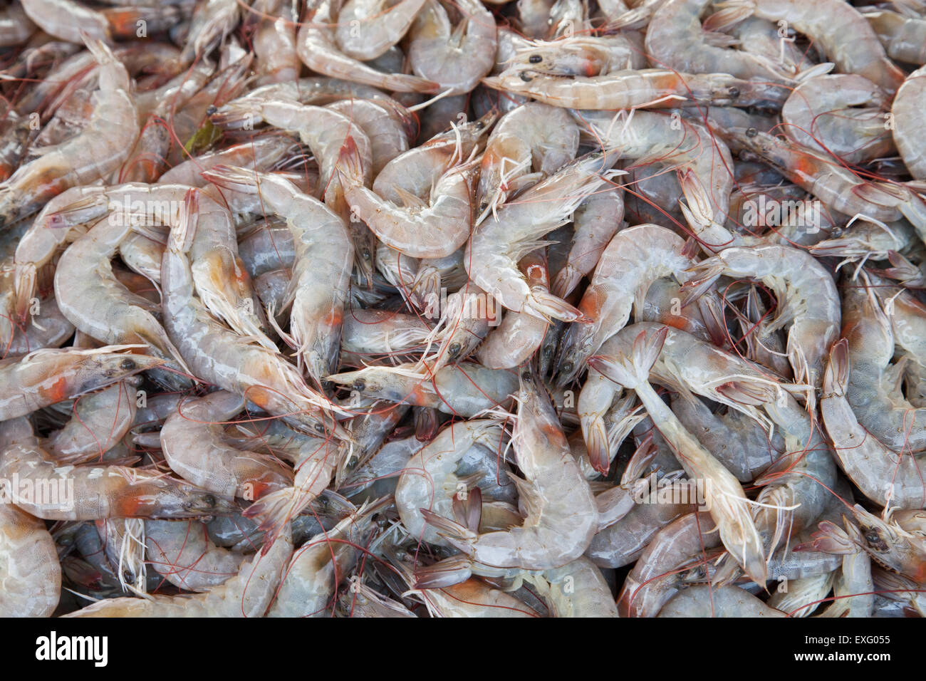 Raw prawn hi-res stock photography and images - Alamy