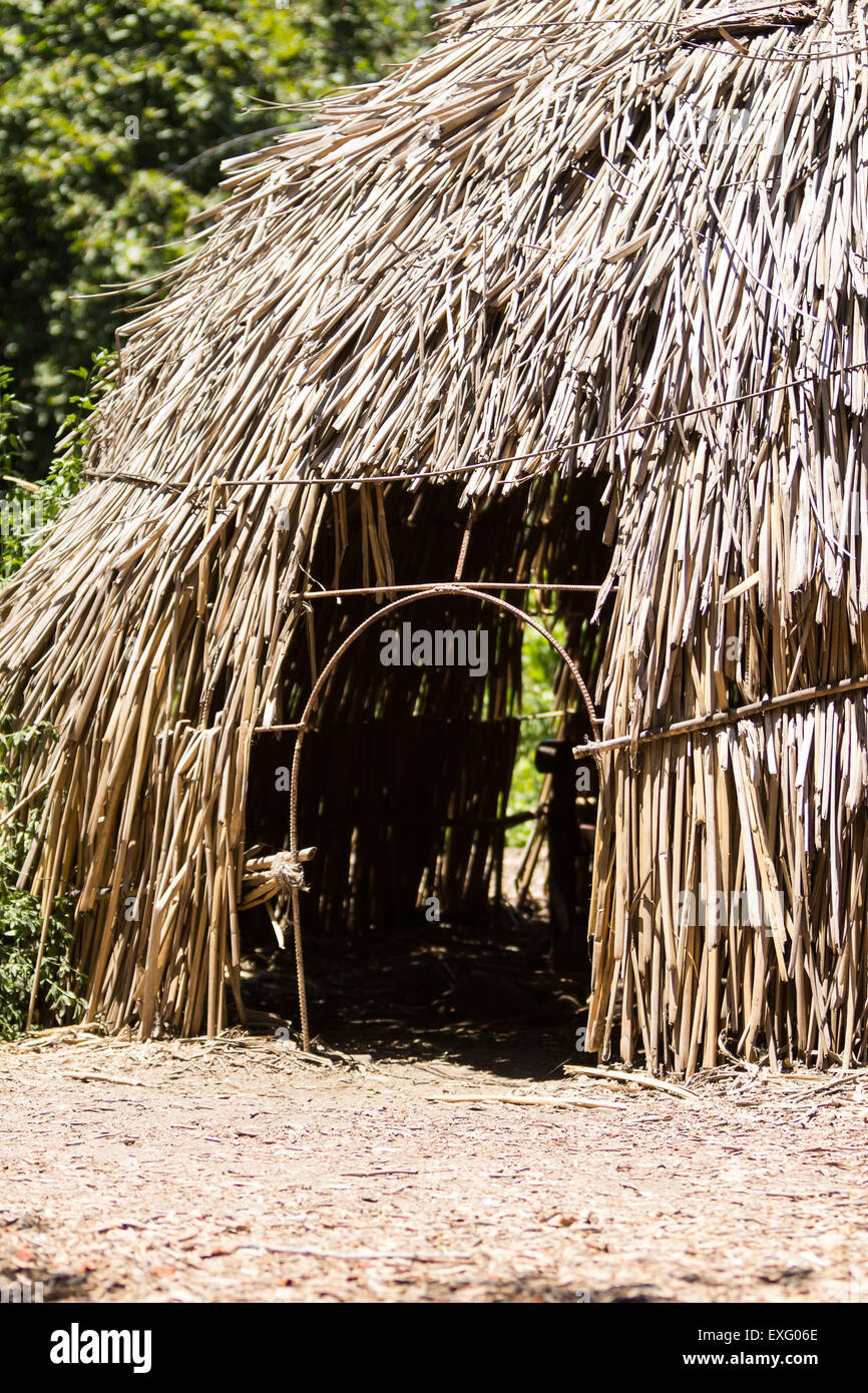 Grass hut in Africa Stock Photo - Alamy