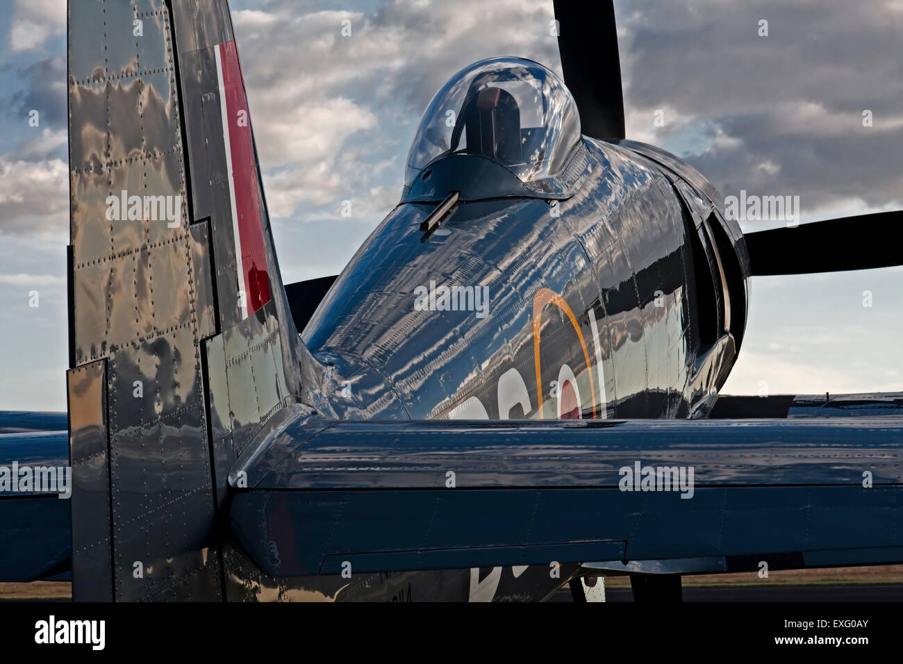 The Hawker Sea Fury and unlimited air racer "Argonaut" reflects the ...