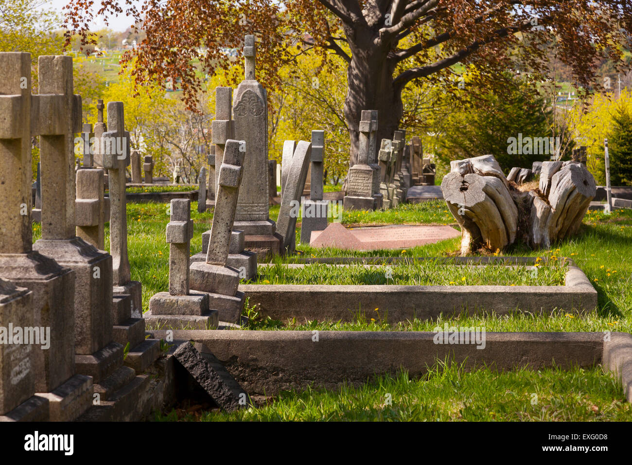 Headstones at the Forest Road Anglican Cemetery, St. John's ...