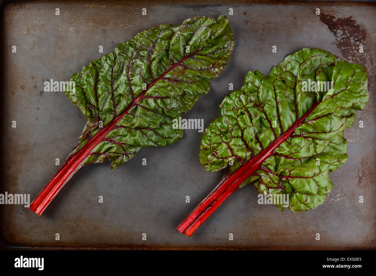 Two spinach leaf hi-res stock photography and images - Alamy