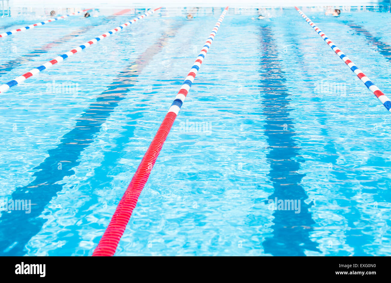 Kids swim meet in outdoor pool during the summer Stock Photo - Alamy