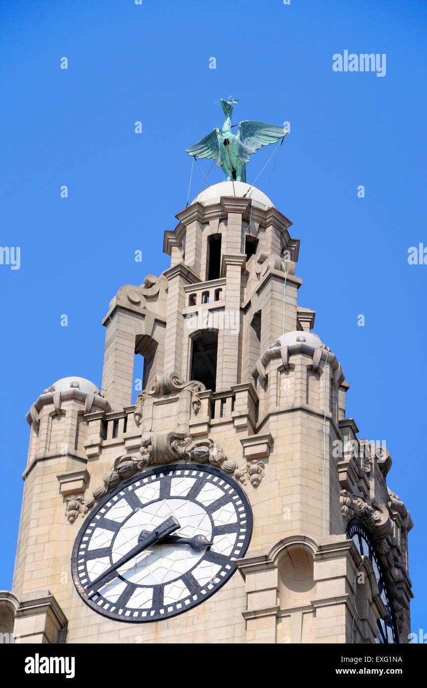 The Royal Liver Building clock tower and Liver Bird at Pier Head ...