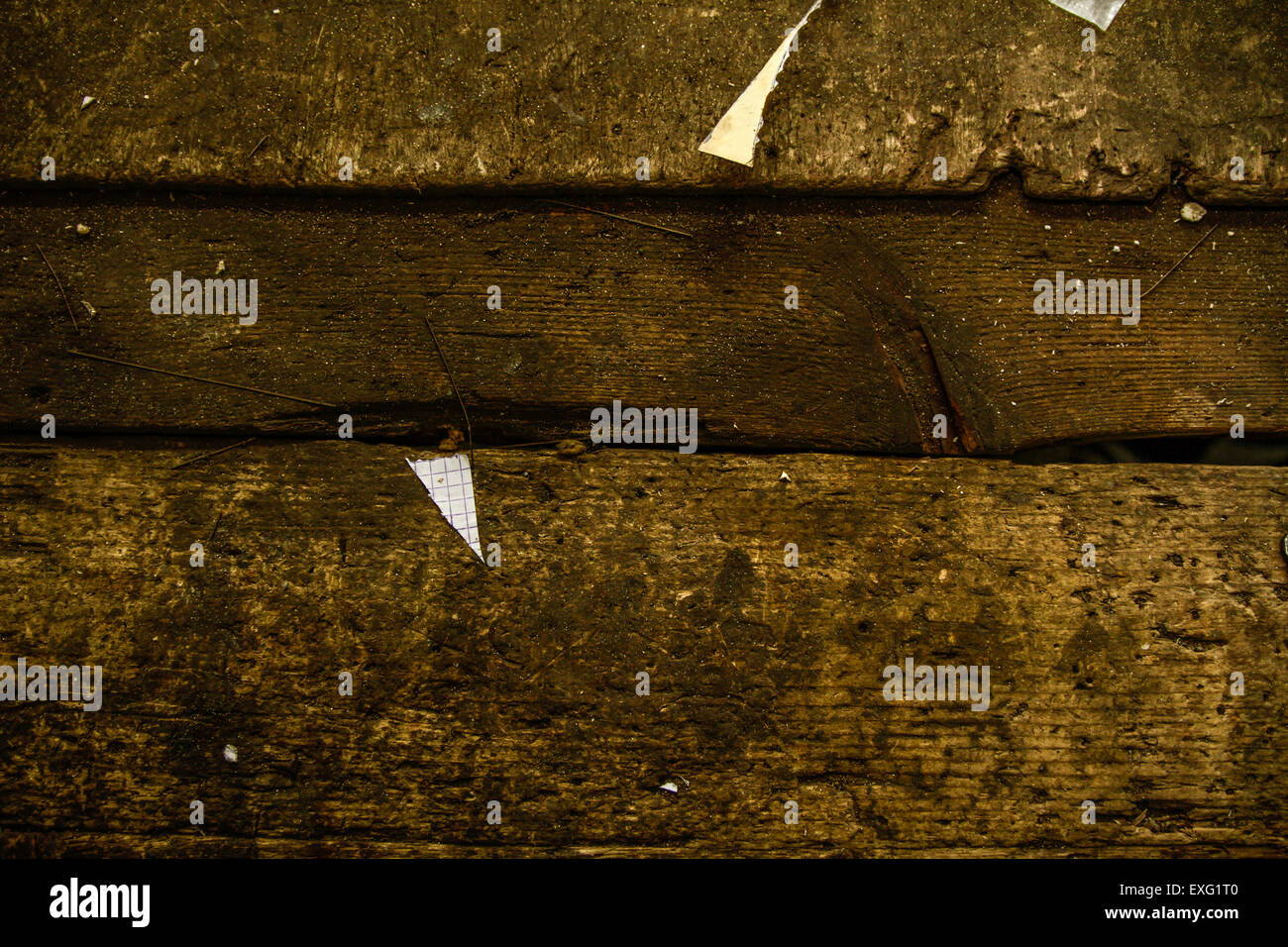 Detailed Wood Texture for Artisan's Countertop Stock Photo - Alamy