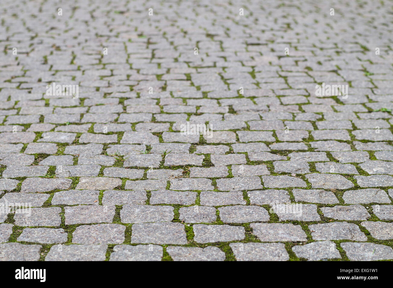 Cobblestone pavement with grass growth between stones, blurred ...