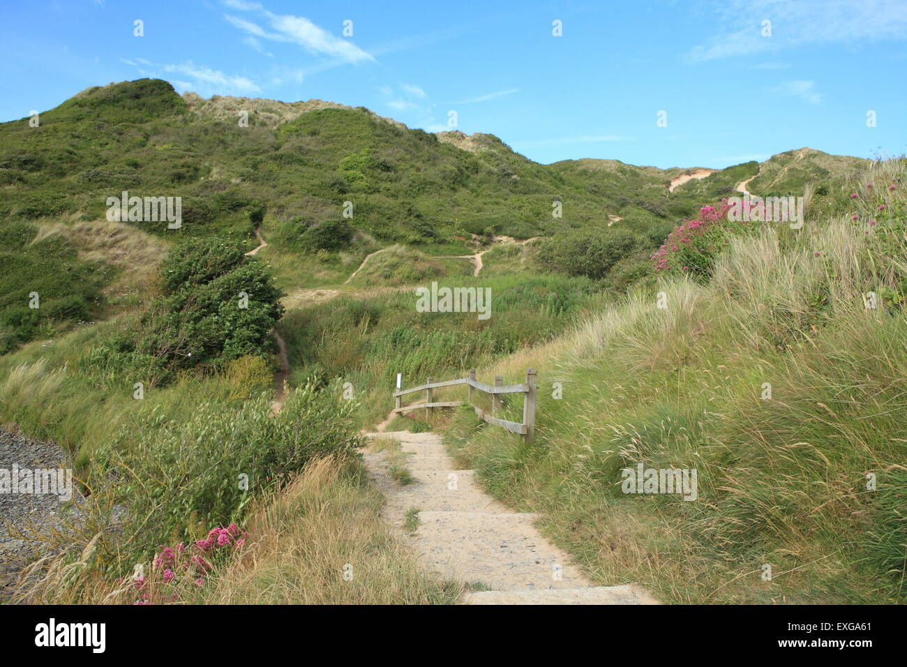 Coastal path from Rock to Polzeath, Camel estuary, North Cornwall ...