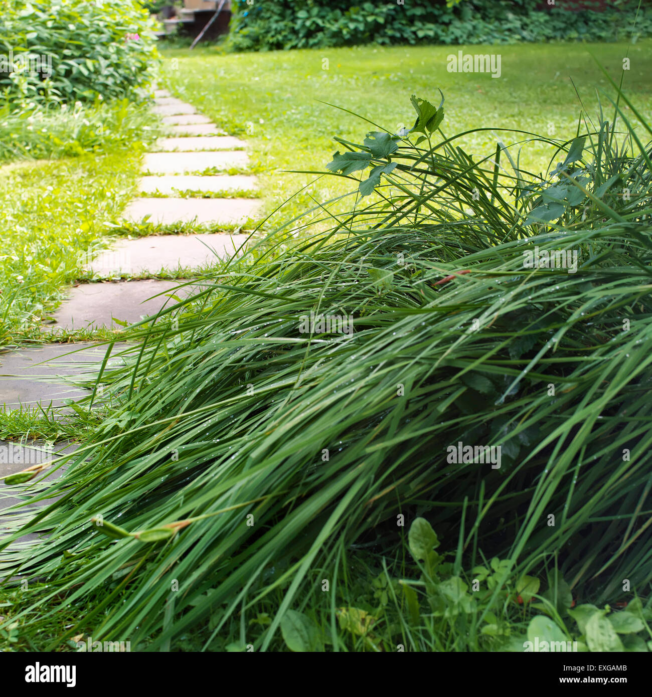 Footpath in a garden Stock Photo - Alamy