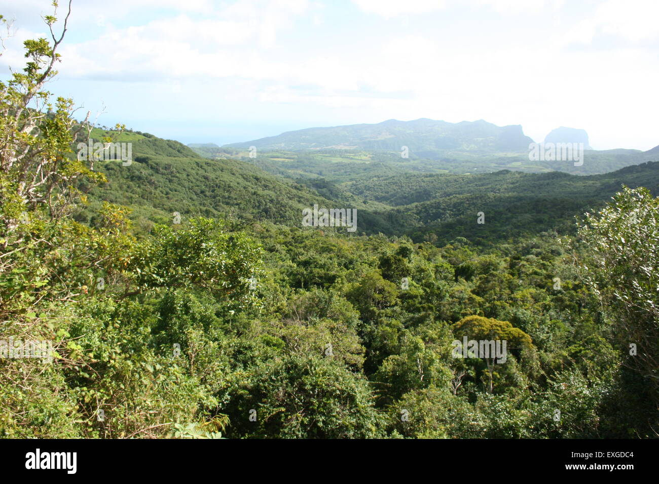 landscape at alexandra fall in mauritius Stock Photo - Alamy