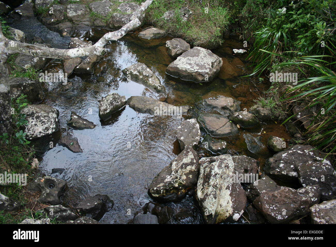 river at alexandra fall in mauritius Stock Photo - Alamy