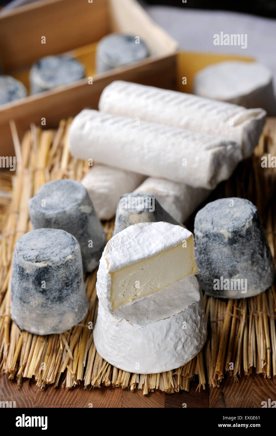 A selection of gourmet goats and cows milk cheeses UK Stock Photo - Alamy