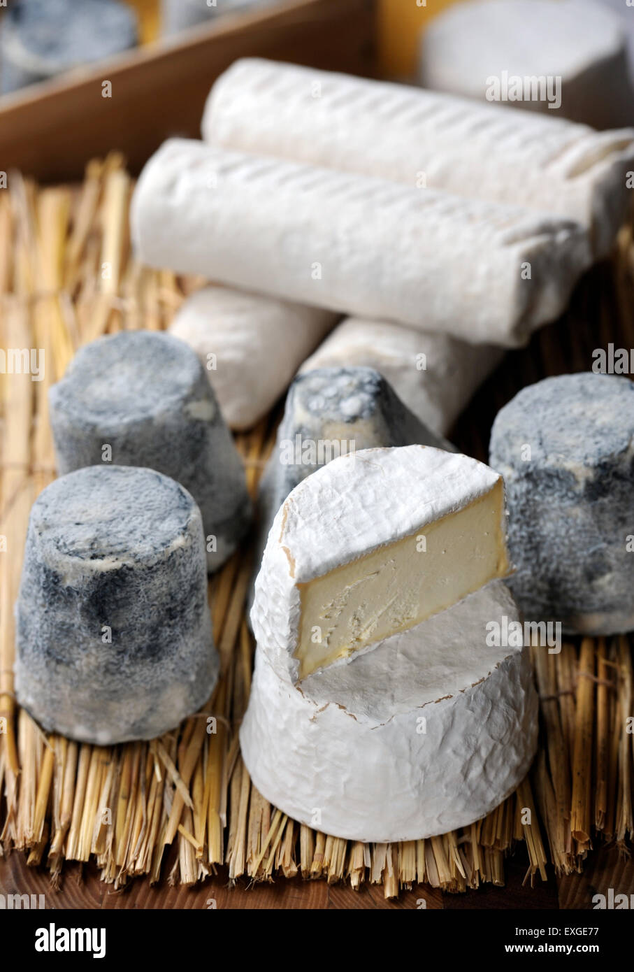 A selection of gourmet goats and cows milk cheeses UK Stock Photo - Alamy