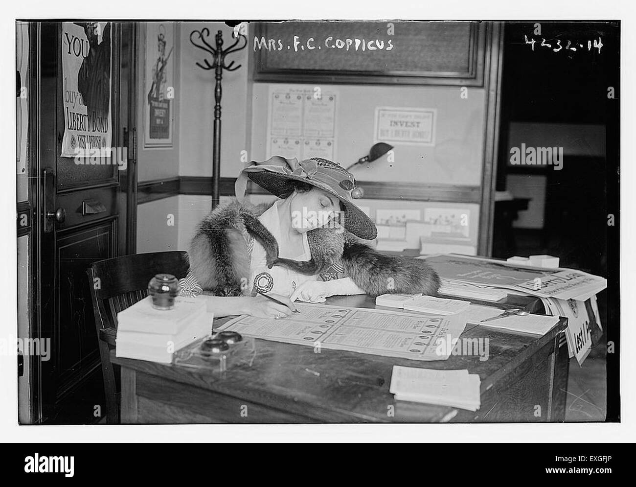 Coppicus hi-res stock photography and images - Alamy