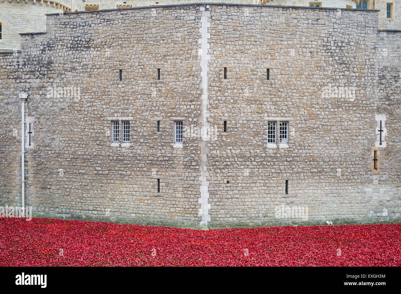 Poppy display at the tower of London Stock Photo - Alamy