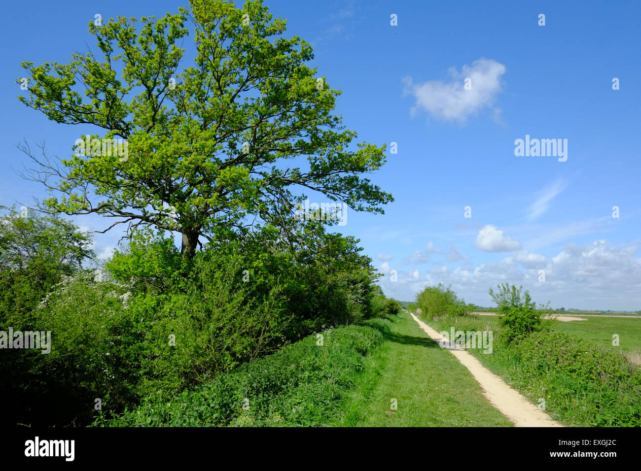 RSPB Otmoor Nature reserve Stock Photo - Alamy